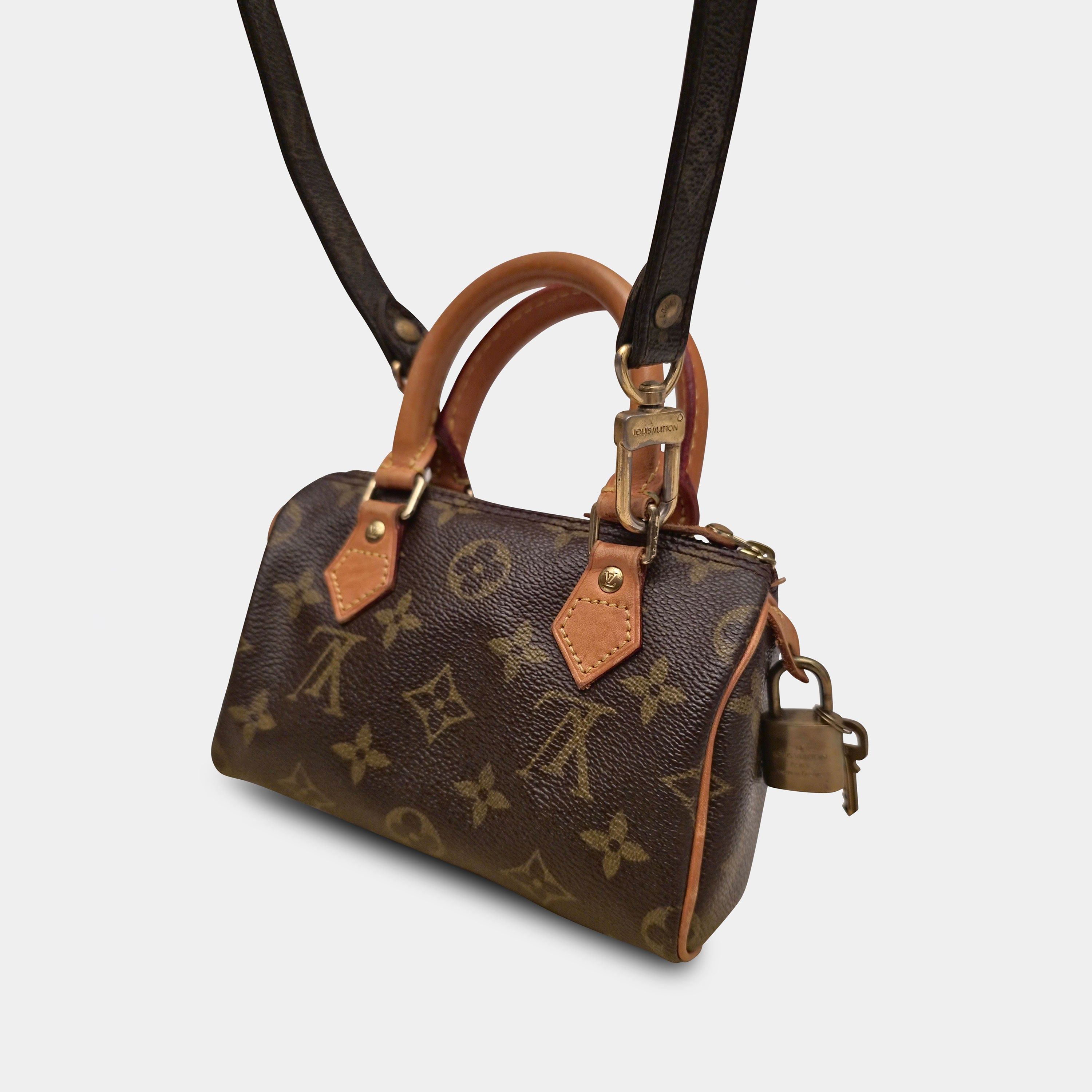 Nano Speedy Louis Vuitton | Matisse Design Iconico